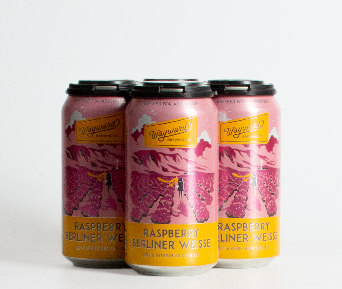 Wayward Brewing Raspberry Berliner Weisse 4 Pack (375ml) – DRNKS